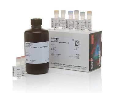 Quant-iT™ 1X dsDNA 定量试剂盒，高灵敏度 (HS) 和宽范围 (BR)-测试狗·科研服务